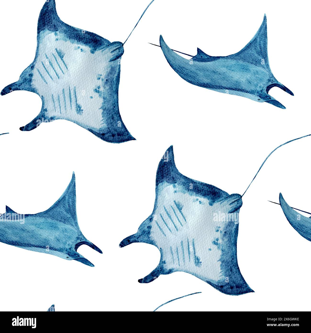 Manta ray watercolor seamless pattern isolated on white. High quality ...