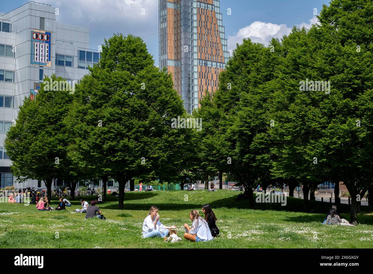 Imperial college white campus campus f hi-res stock photography and ...