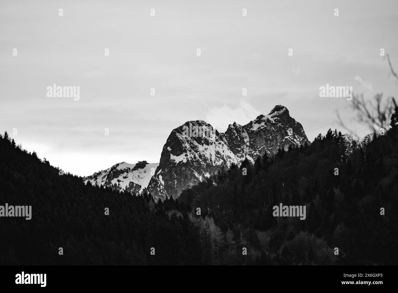 Fog dust Black and White Stock Photos & Images - Alamy