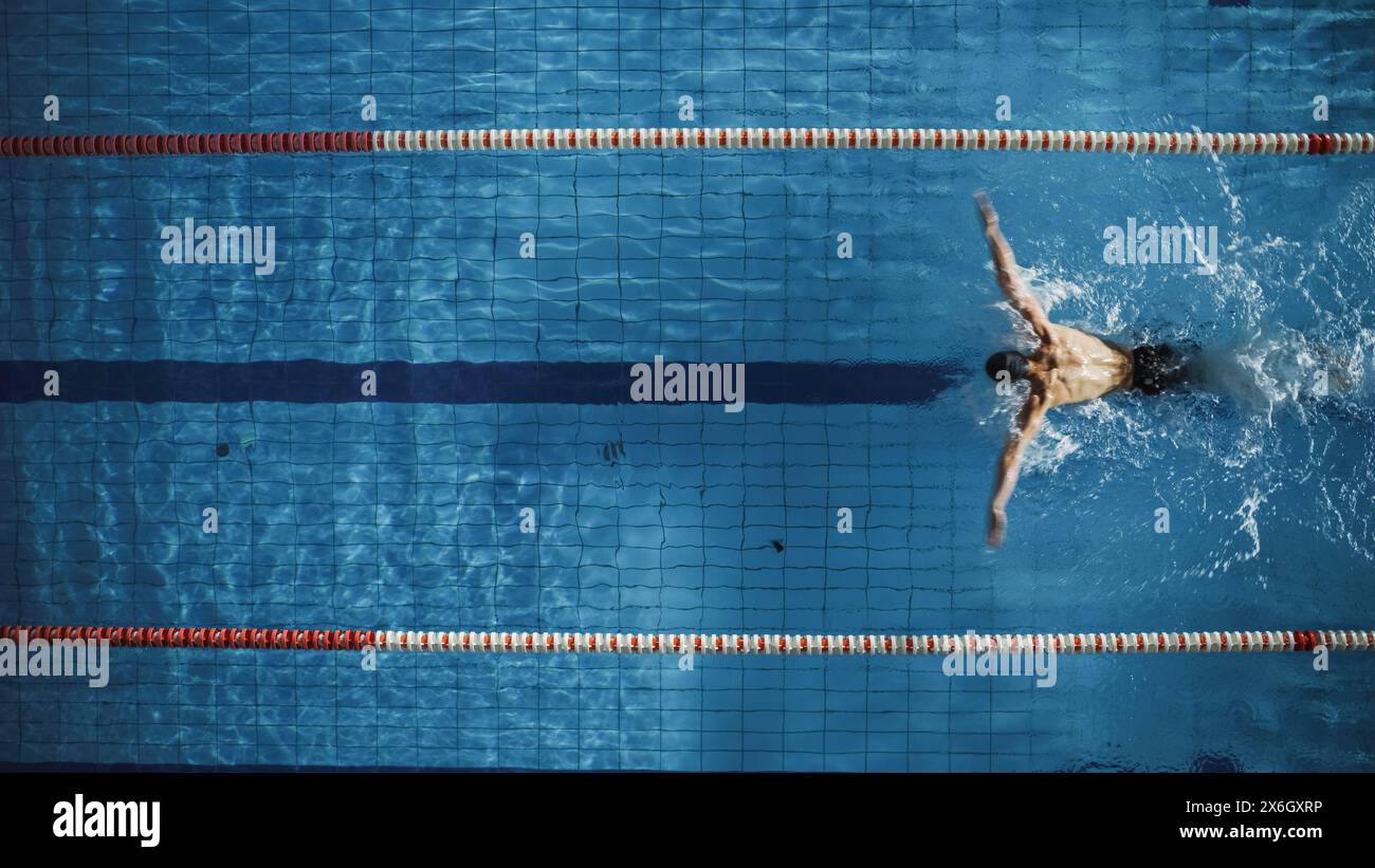 Aerial Top View Male Swimmer Swimming in Swimming Pool. Professional ...