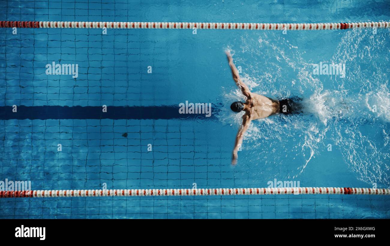 Aerial Top View Male Swimmer Swimming in Swimming Pool. Professional ...