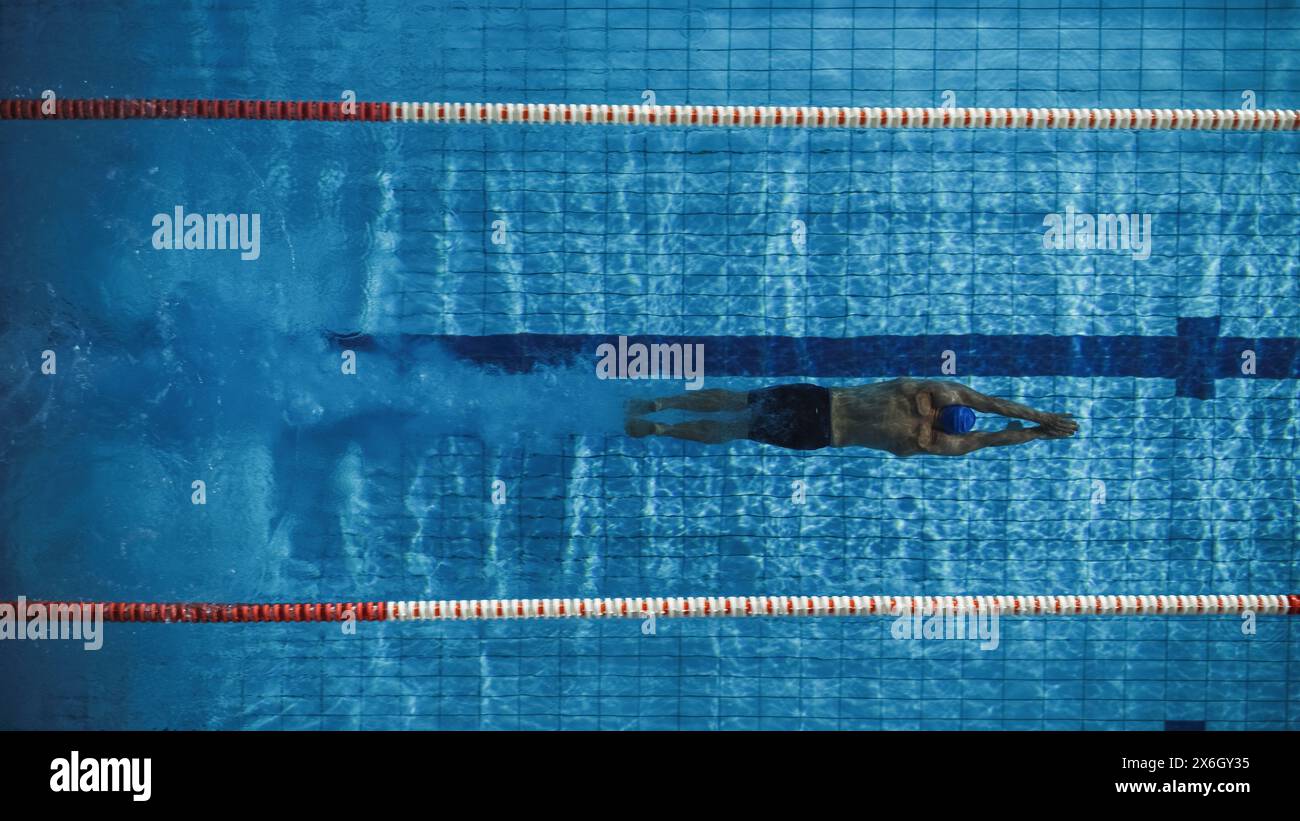 Aerial Top View Male Swimmer Swimming in Swimming Pool, Diving ...