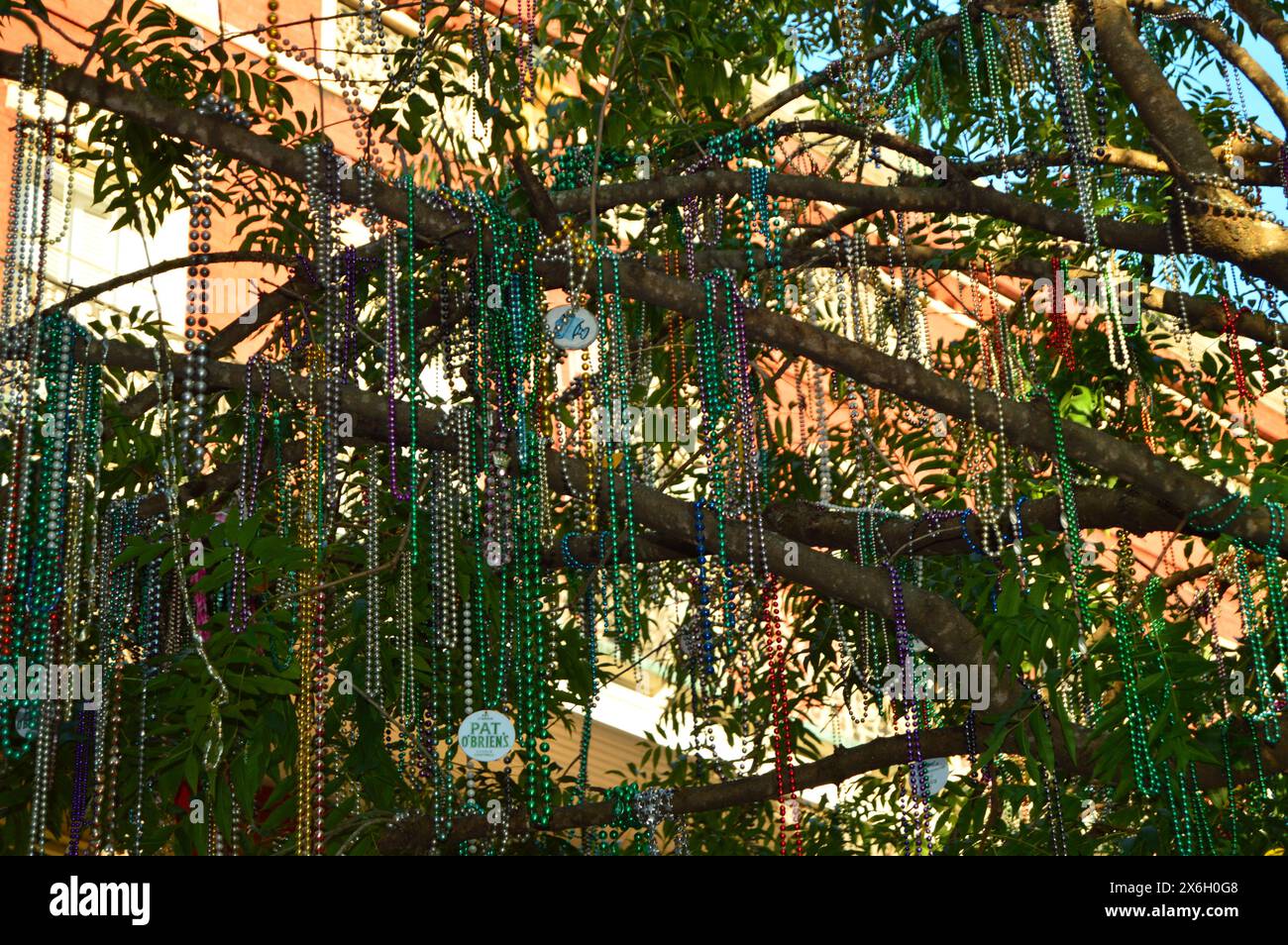 Mari gras beads hi-res stock photography and images - Alamy