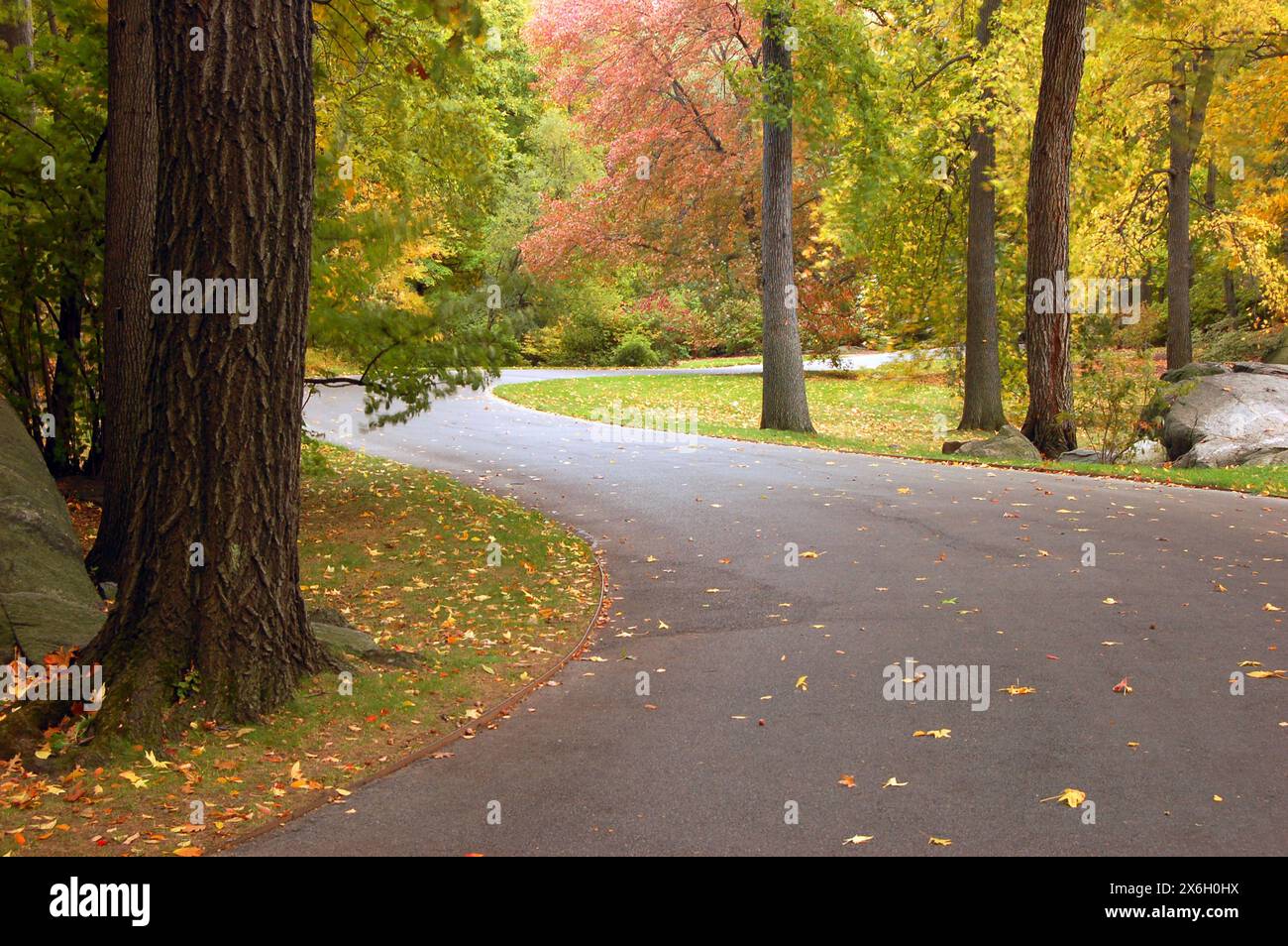 A curving paved path lead between the trees framed by fall foliage ...