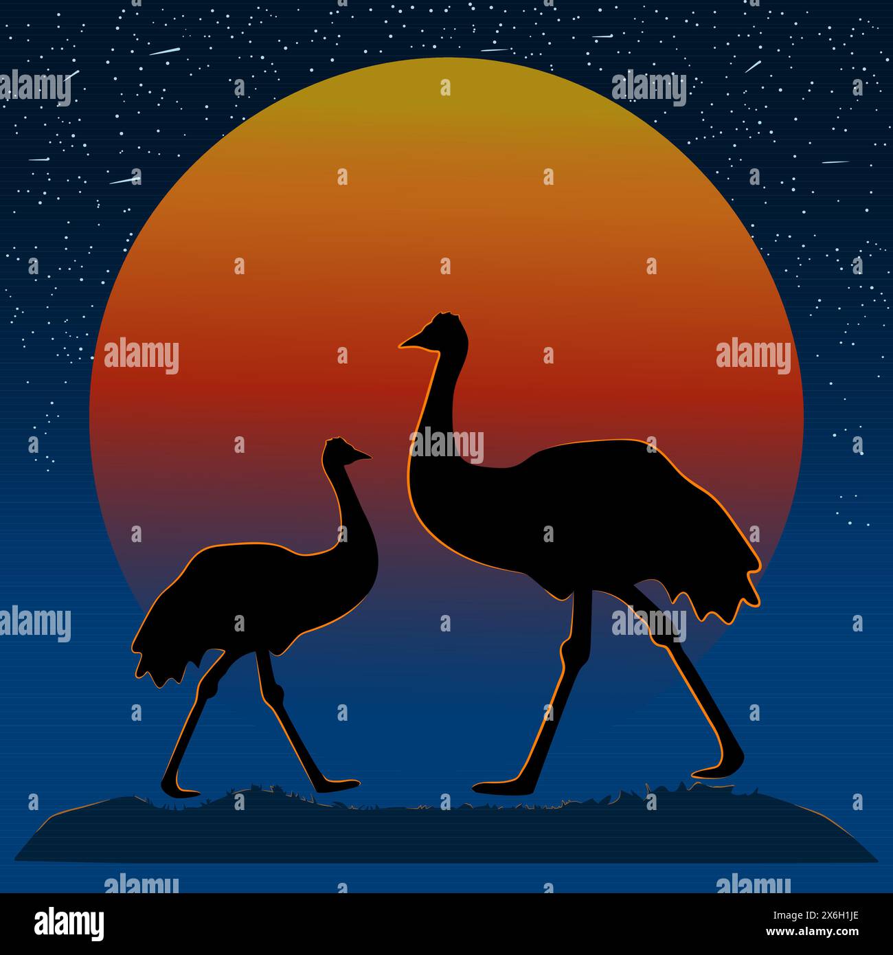 Emu silhouette at sunset background. Sundown in Australia with stars ...