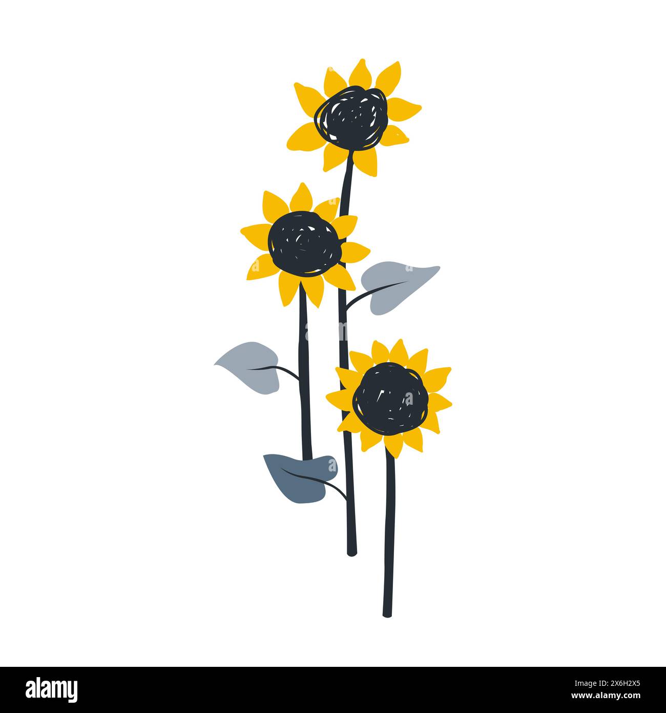 Three hand drawn stylish sunflowers with stems and leaves. Isolated ...
