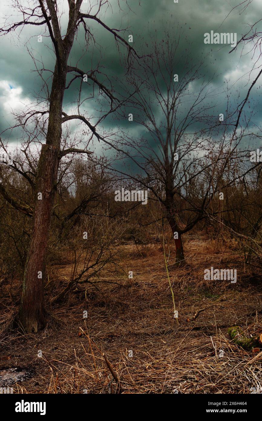 nature devastated by drought and extreme weather Stock Photo - Alamy