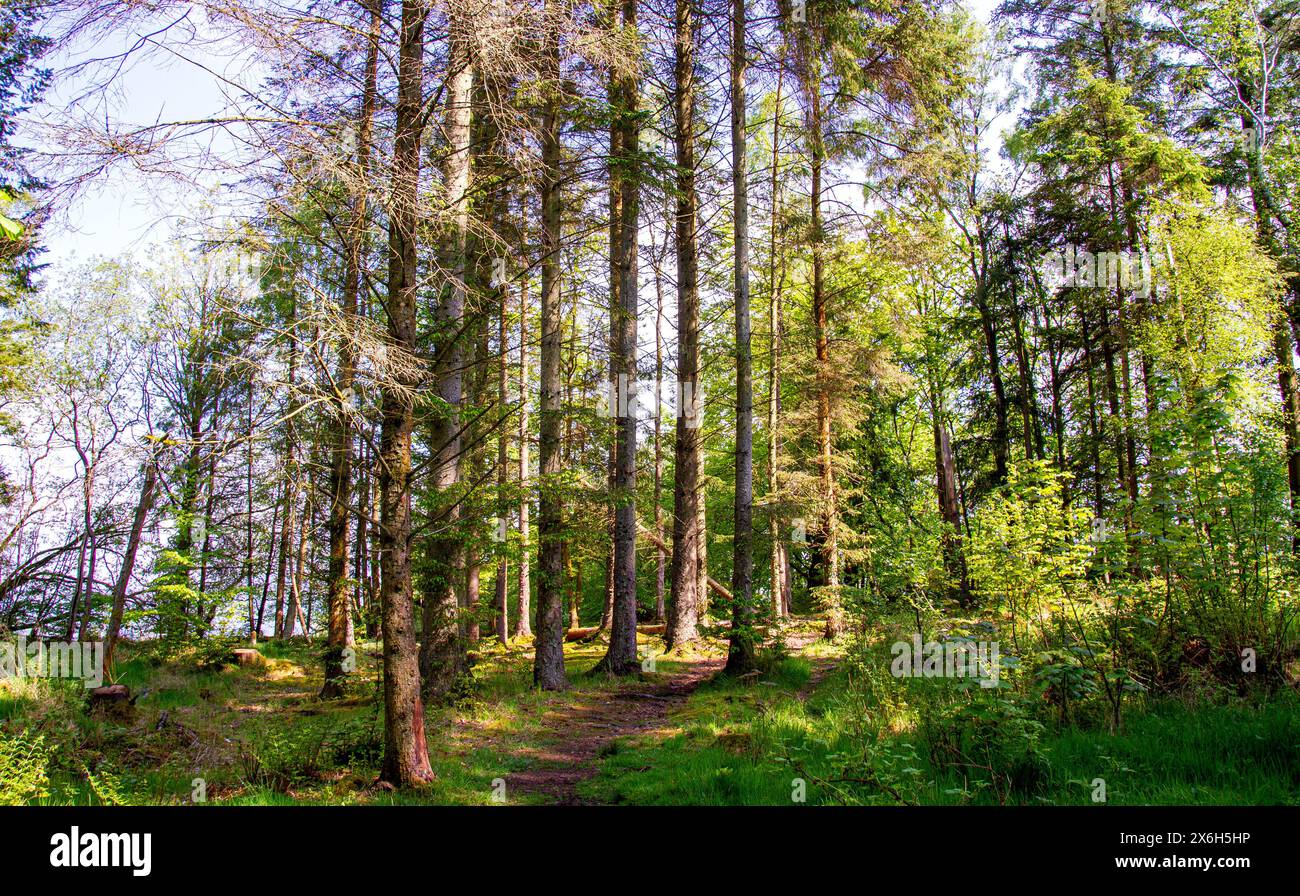 Hazy landscape dundee hi-res stock photography and images - Alamy