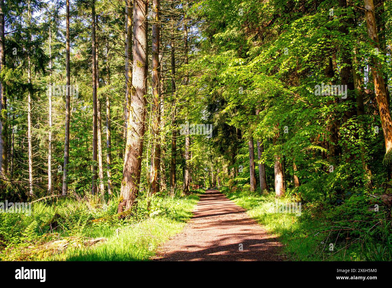 Hazy landscape dundee hi-res stock photography and images - Alamy