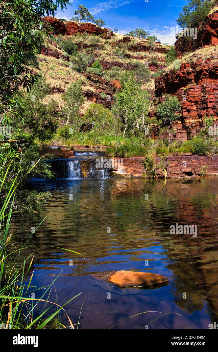 Small waterfall and quiet pool in the Dales Gorge, a lush oasis in the ...