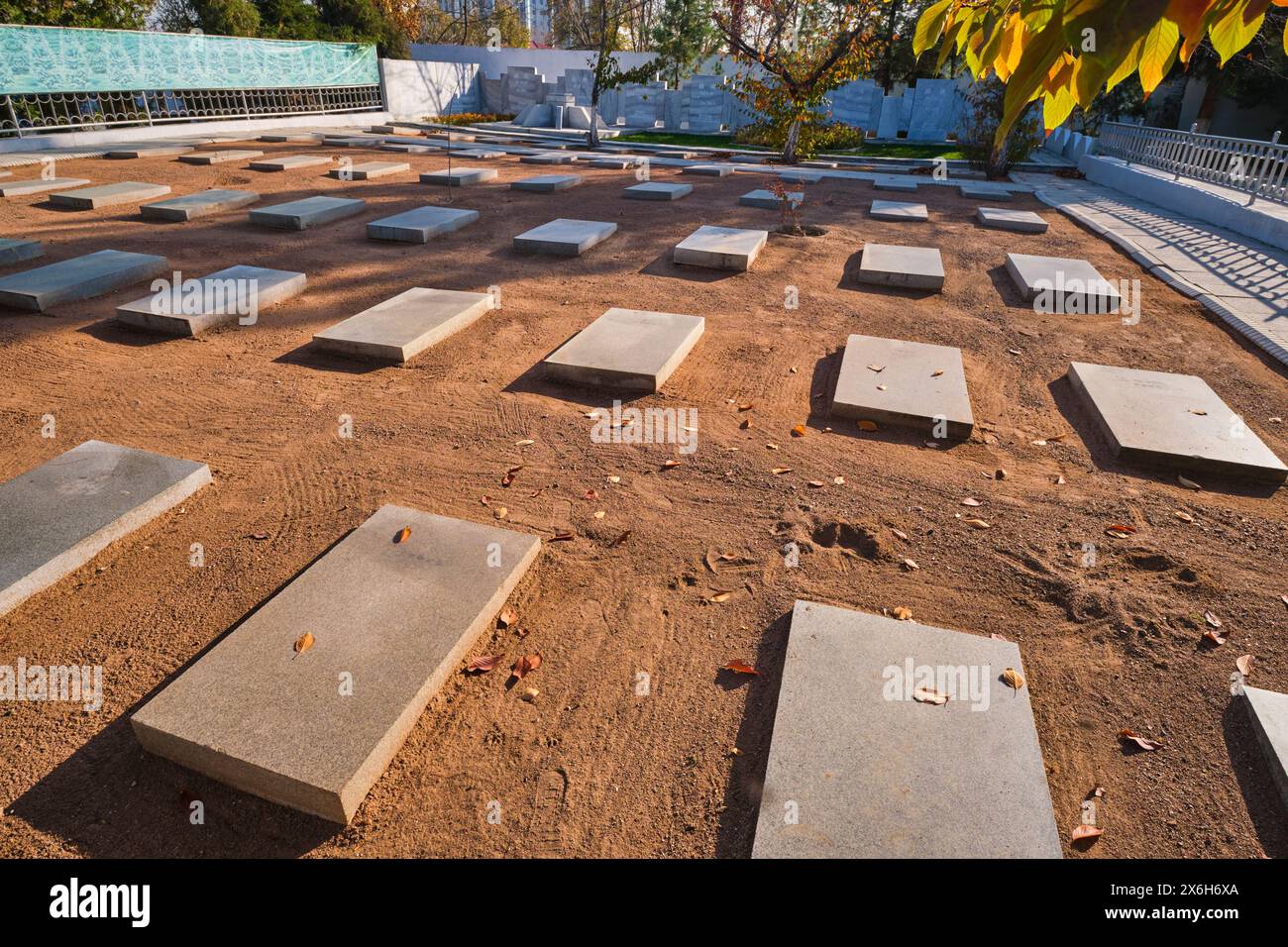 Fozil ota hi-res stock photography and images - Alamy