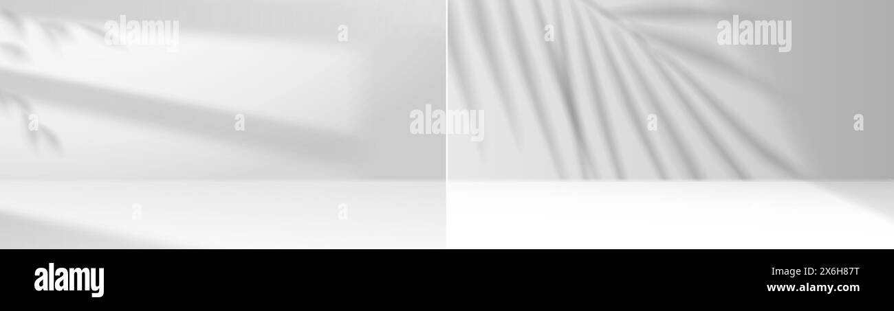 Empty stages with exotic leaves shadows realistic vector illustration ...
