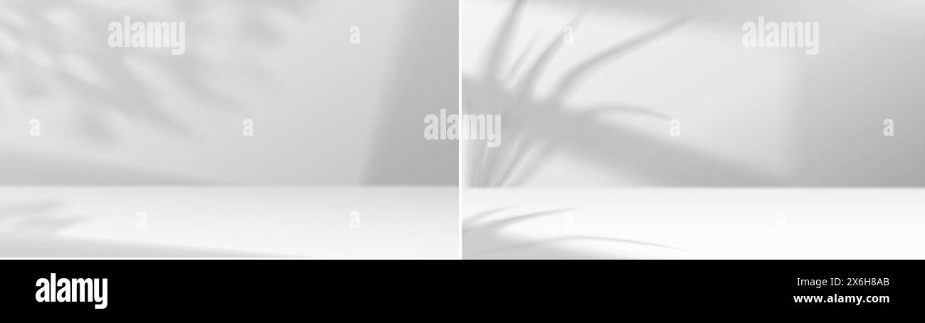Empty stages with exotic leaves shadows realistic vector illustration ...