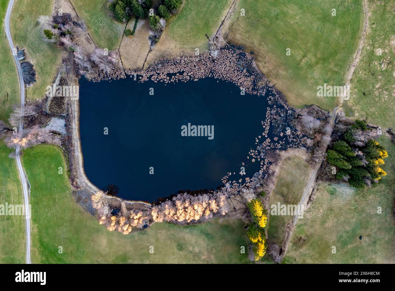 lake from above, pond, drone perspective, grass, meadow, forest Stock ...