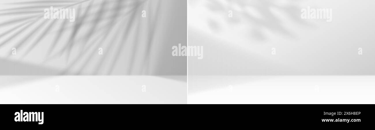 Empty stages with exotic leaves shadows realistic vector illustration ...