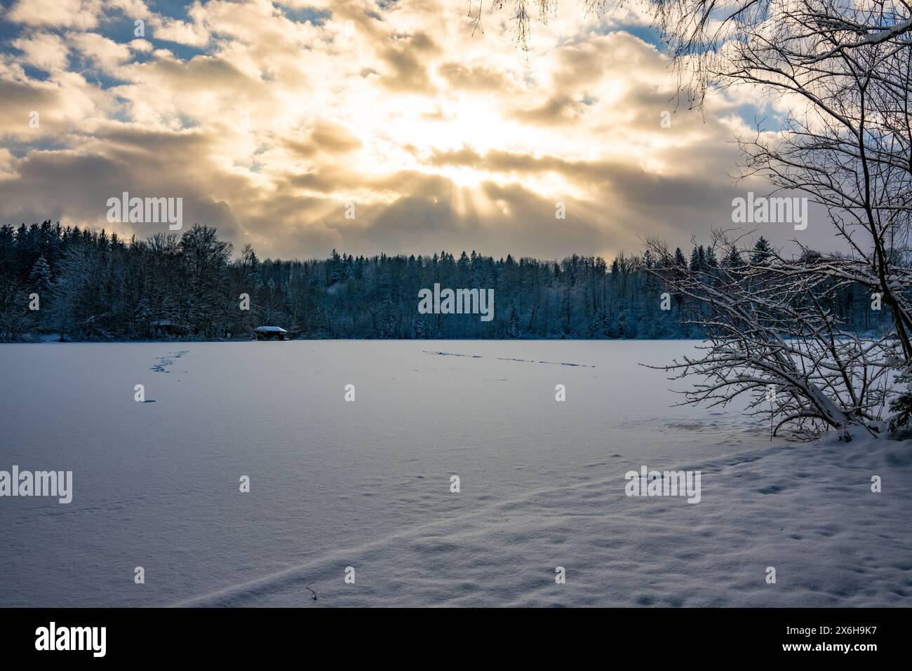 winter, landscape, clouds, lakeside, frozen lake, forest lake Stock ...
