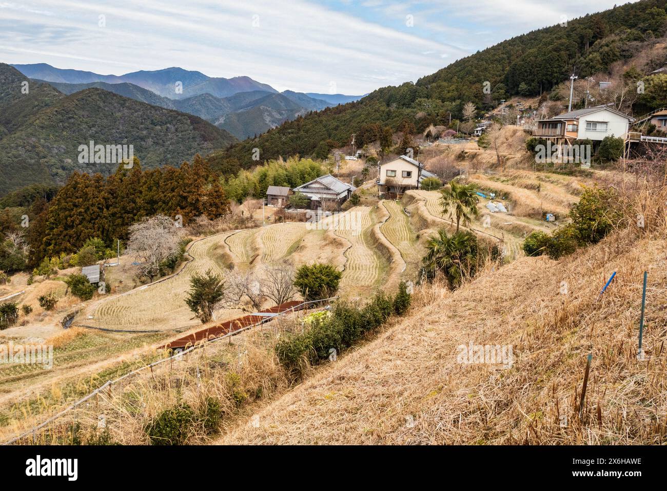 Viewpoint along the Nakahechi Kumano Kodo pilgrimage route, Takahara ...