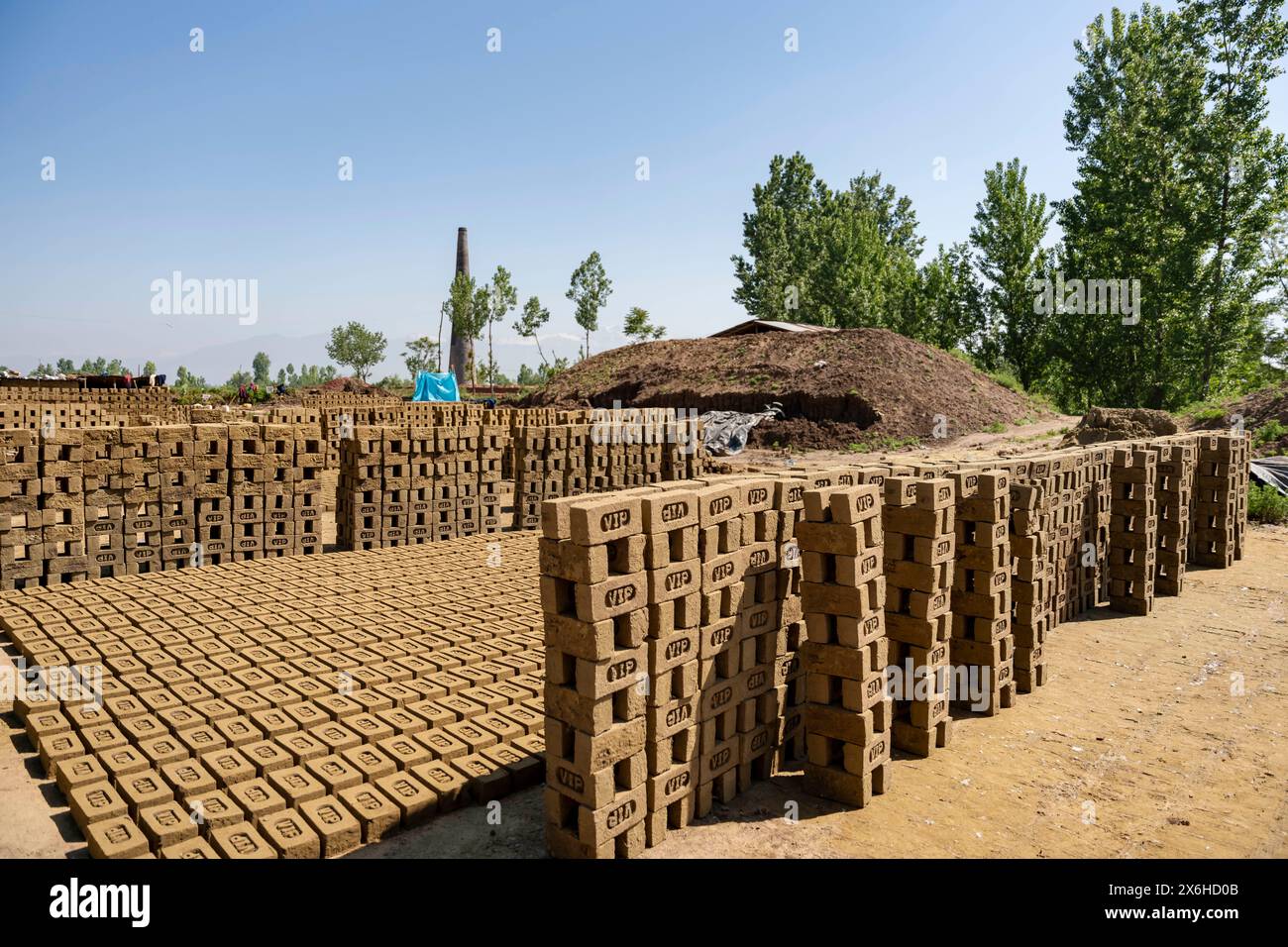 Bricks are seen drying under the sun after being shaped at a brick kiln ...