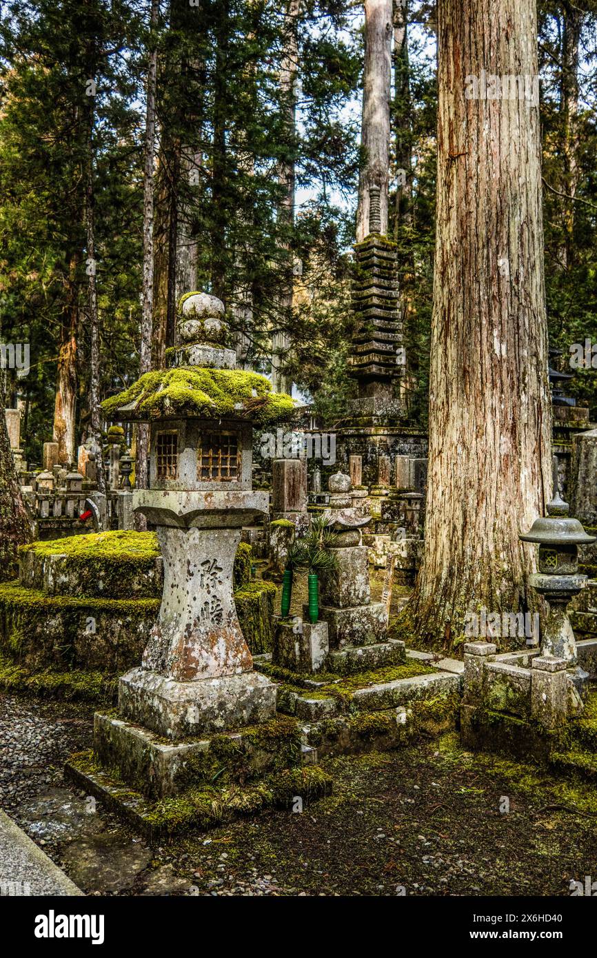 The moss-covered atmospheric Okunoin Cemetery, Mount Koya (Koyasan ...