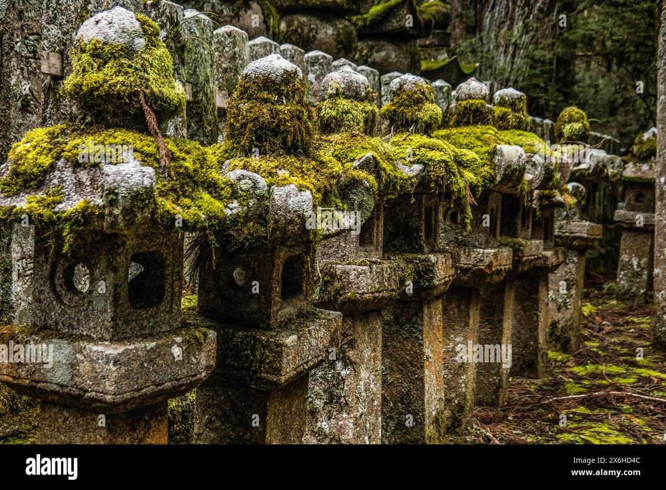 The moss-covered atmospheric Okunoin Cemetery, Mount Koya (Koyasan ...