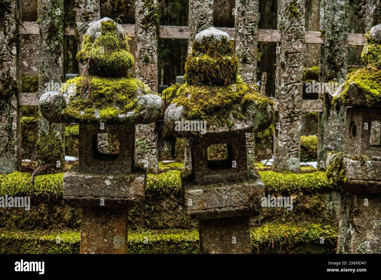 The moss-covered atmospheric Okunoin Cemetery, Mount Koya (Koyasan ...