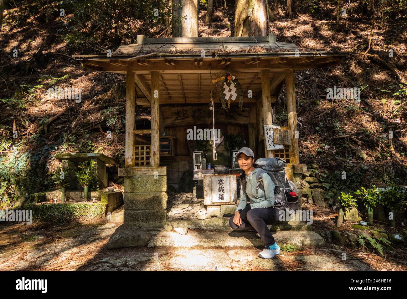 Trekking through the deep forests of the Kumano Kodo pilgrimage route ...