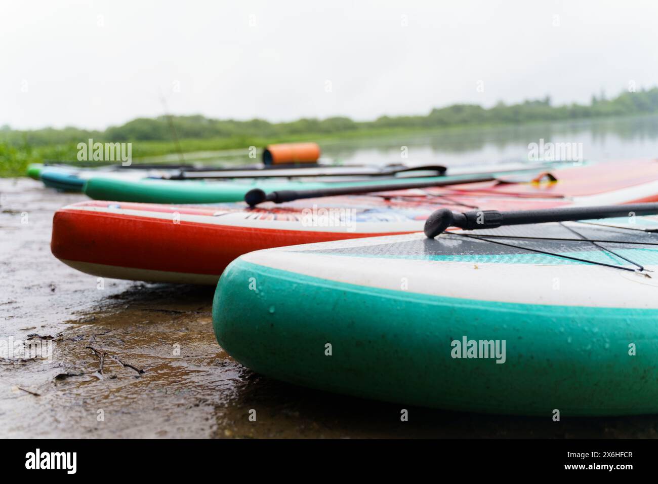 Multiple colorful stand up paddle boards are neatly arranged in a row ...
