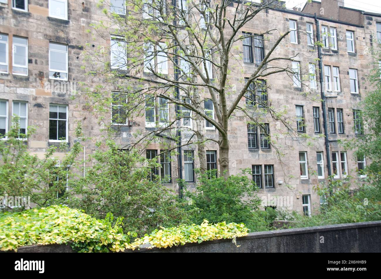 Stone tenements are characteristic of housing in Glasgow — they have ...