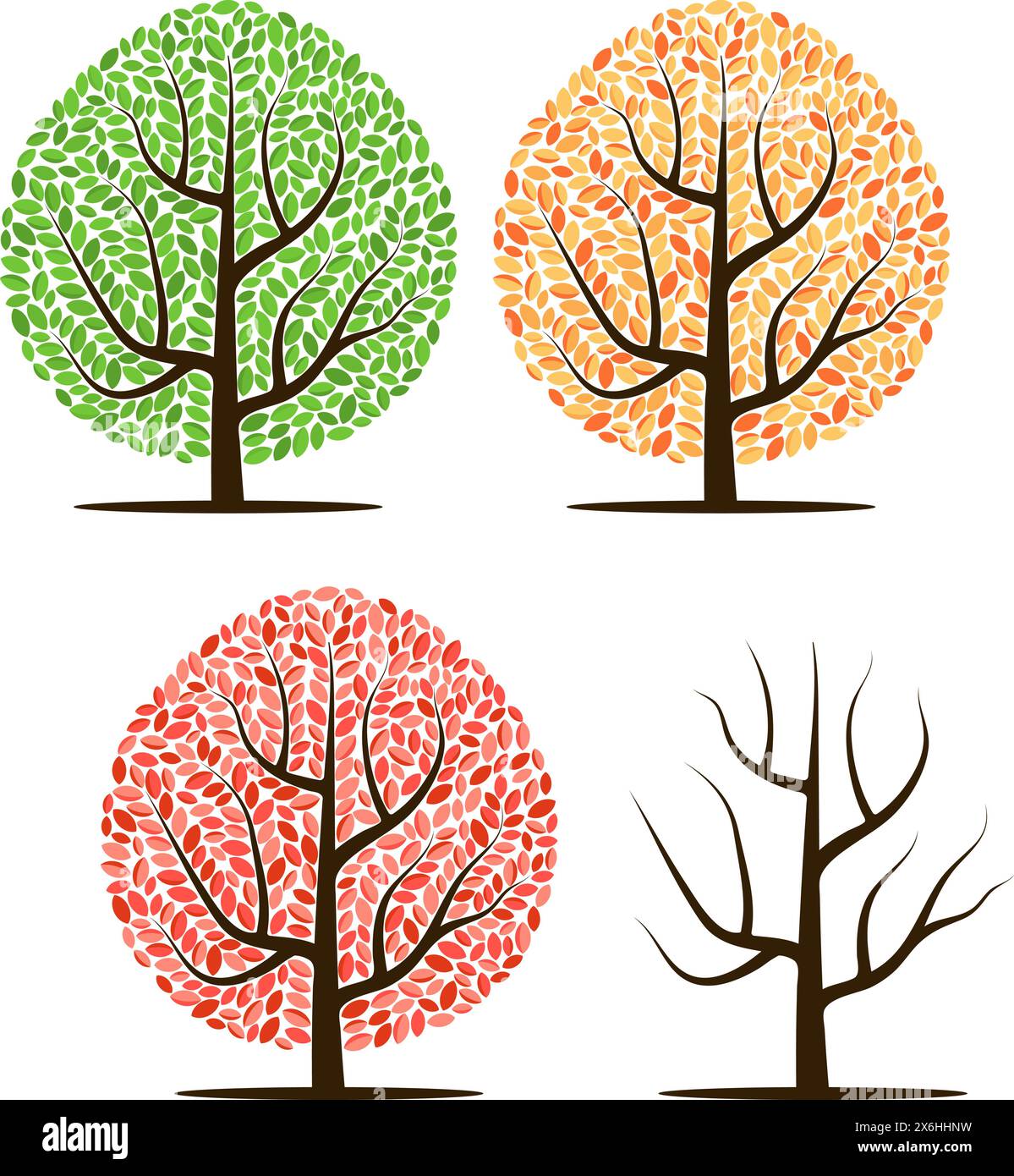 Four trees with green, red, yellow leaves and without leaves. Vector ...