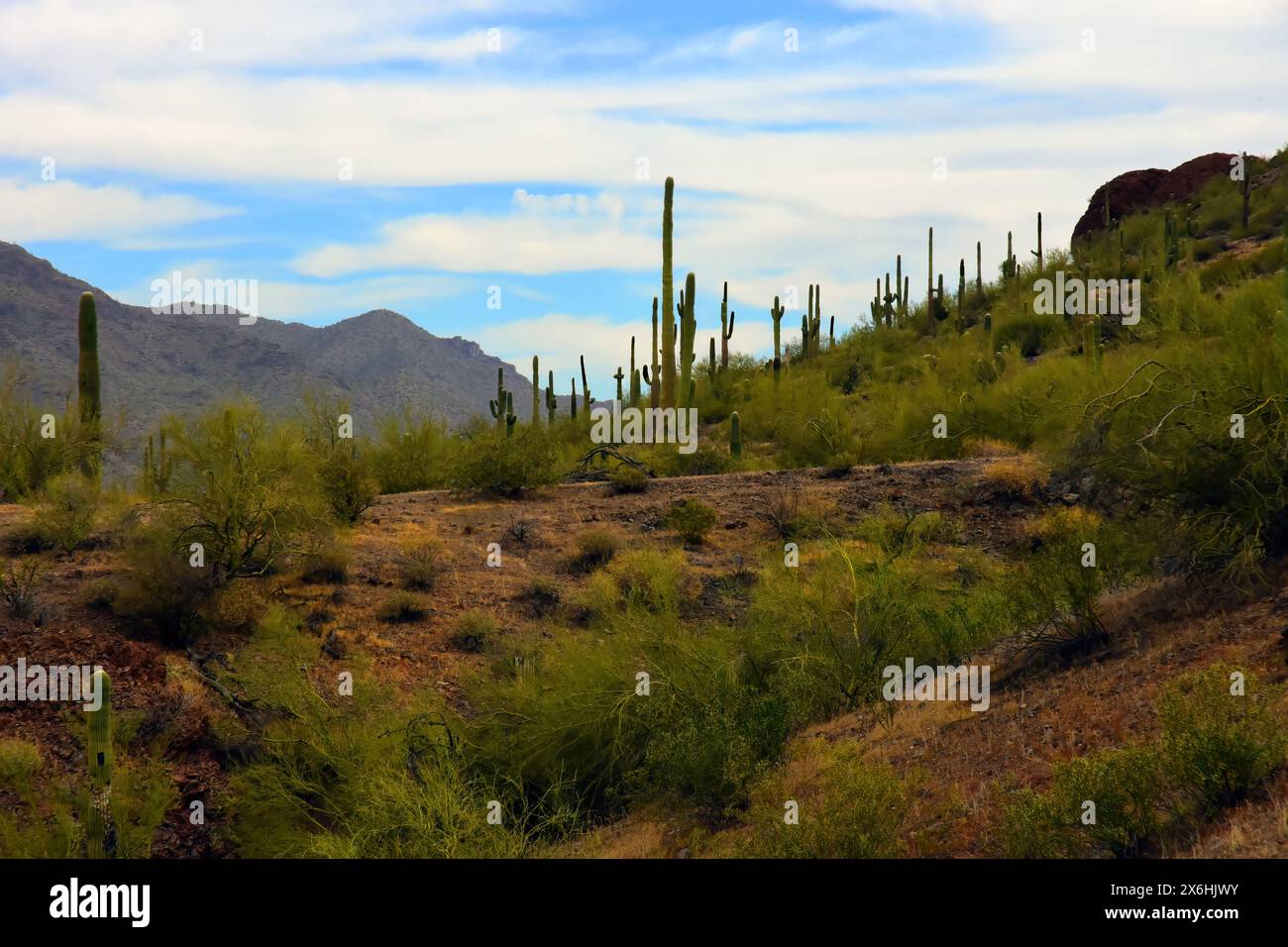 The Vast Sonora desert Pichaco Peak in central Arizona USA on a early ...