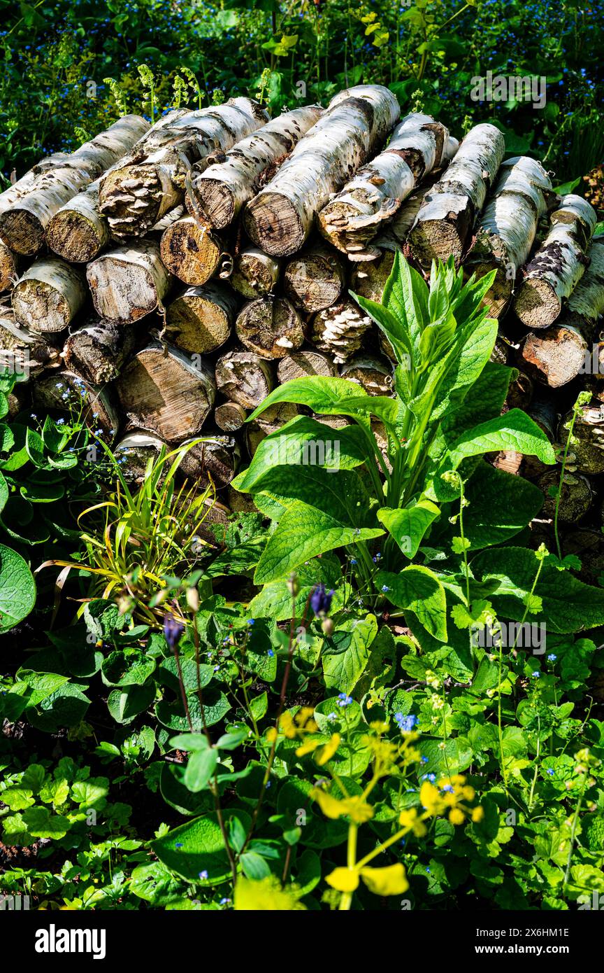 Pile of logs creating a wildlife habitat, blending in amongst flower ...