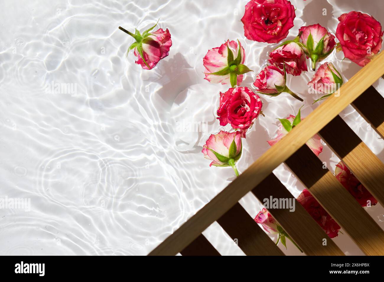 Floating Roses in Sunlit Water Stock Photo - Alamy