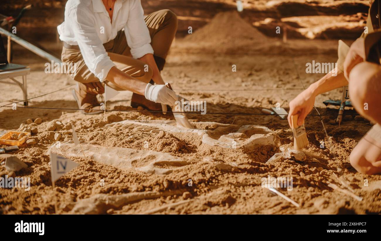 Archaeological Digging Site: Two Great Paleontologists Cleaning Newly ... Archaeological Digging Site: Two Great Paleontologists Cleaning Newly ...