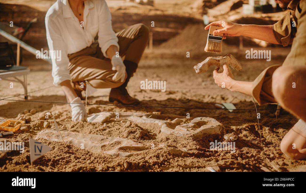 Archaeological Digging Site: Two Great Paleontologists Cleaning Newly Discovered of Dinosaur ...