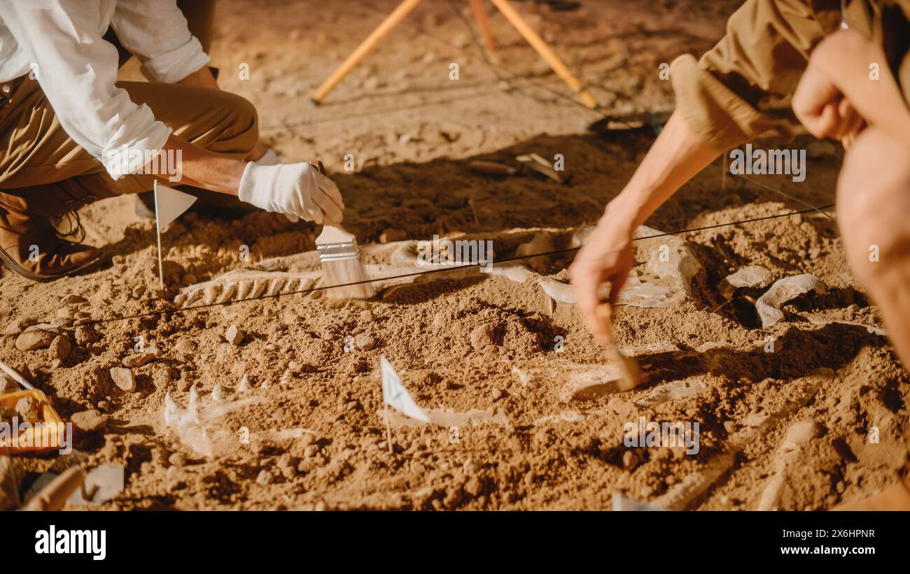 Archaeological Digging Site: Two Great Paleontologists Cleaning Newly Discovered of Dinosaur ...