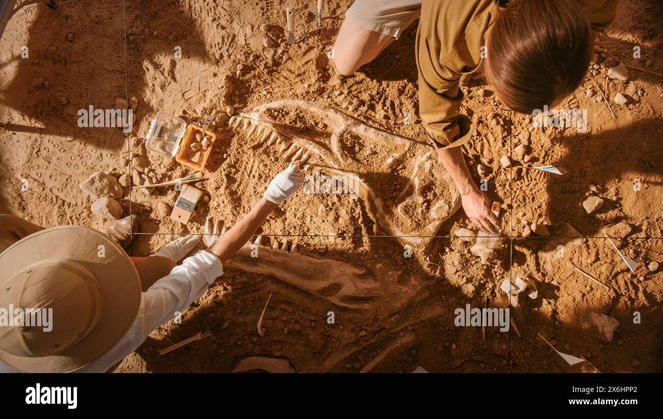 Top-Down View: Two Great Paleontologists Cleaning Newly Discovered ...
