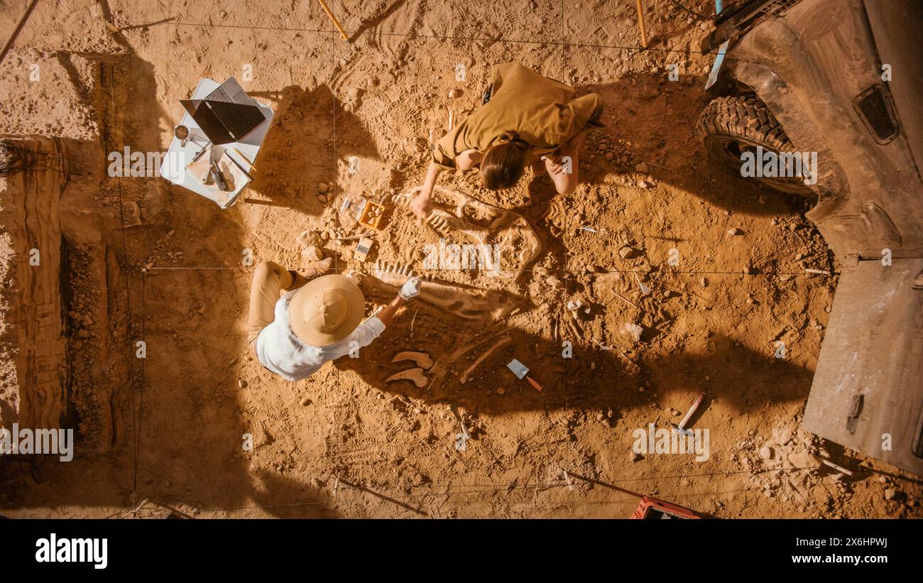 Top-Down View: Two Great Paleontologists Cleaning Newly Discovered ...