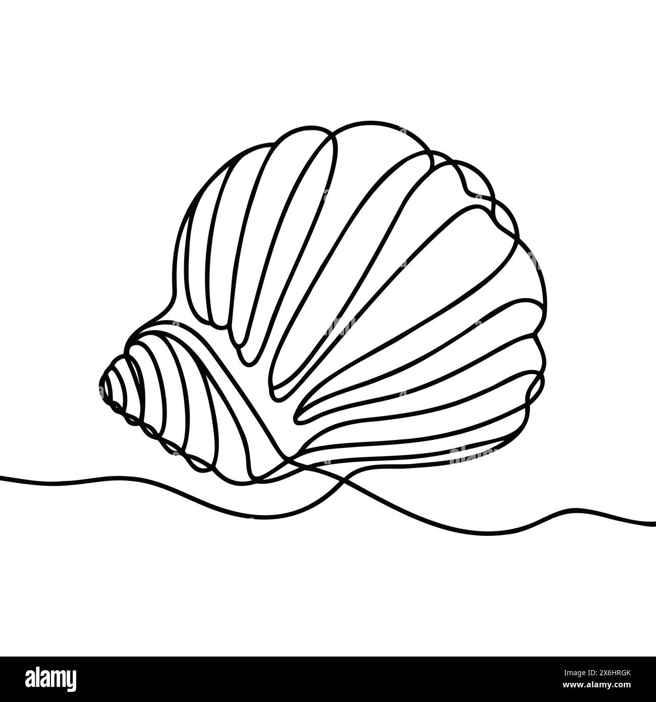 seashell, continuous one line drawing. Vector minimalist linear ...