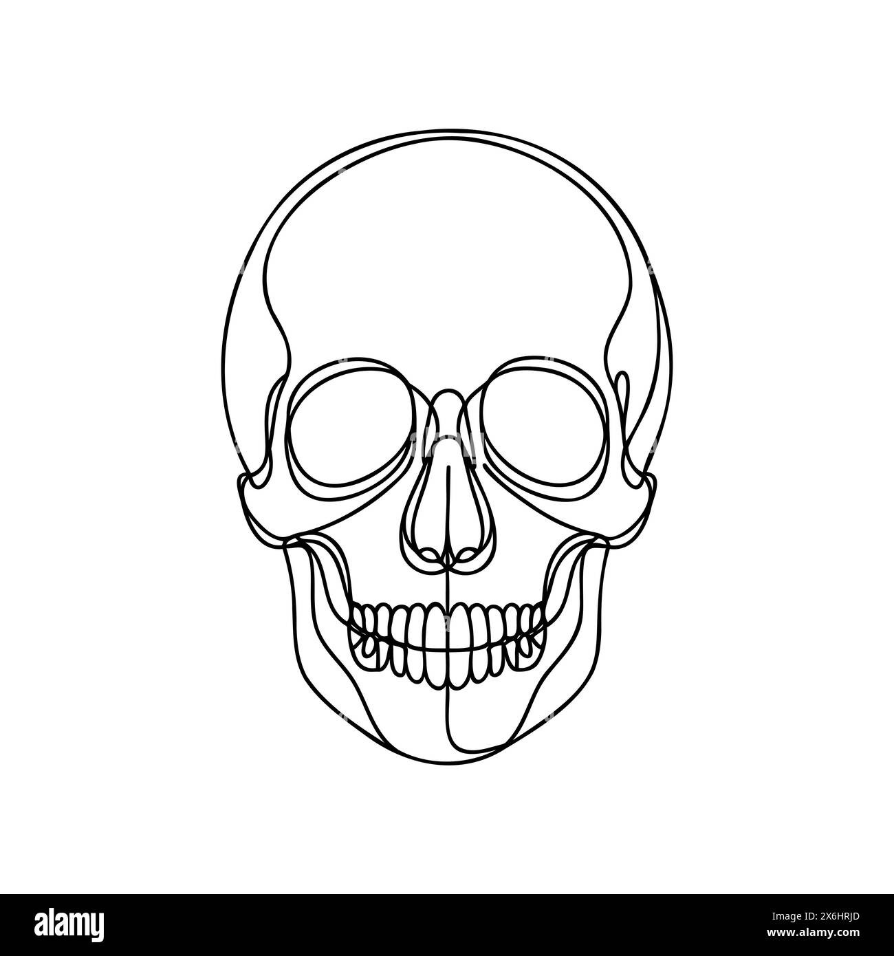 Human scull. One line continuous Halloween skull isolated on white ...