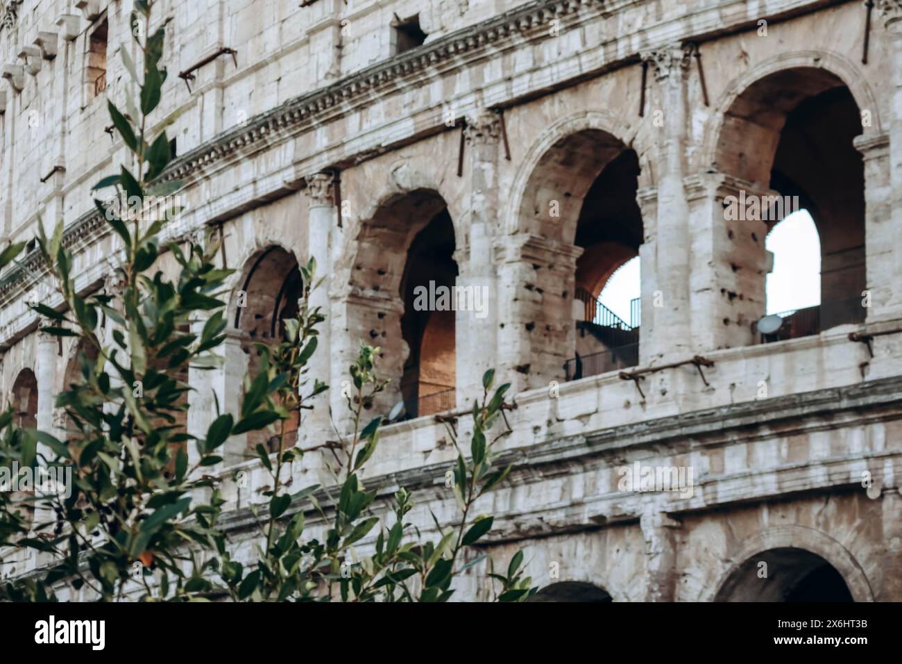 Colosseum, an elliptical amphitheatre in the centre of the city of Rome ...