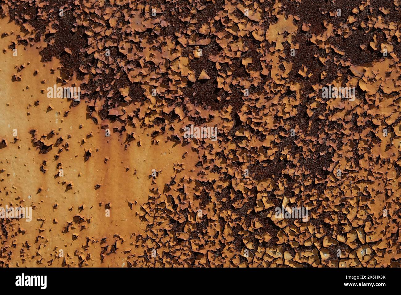 Textured surface of peeling paint on metal, featuring a gradient from ...