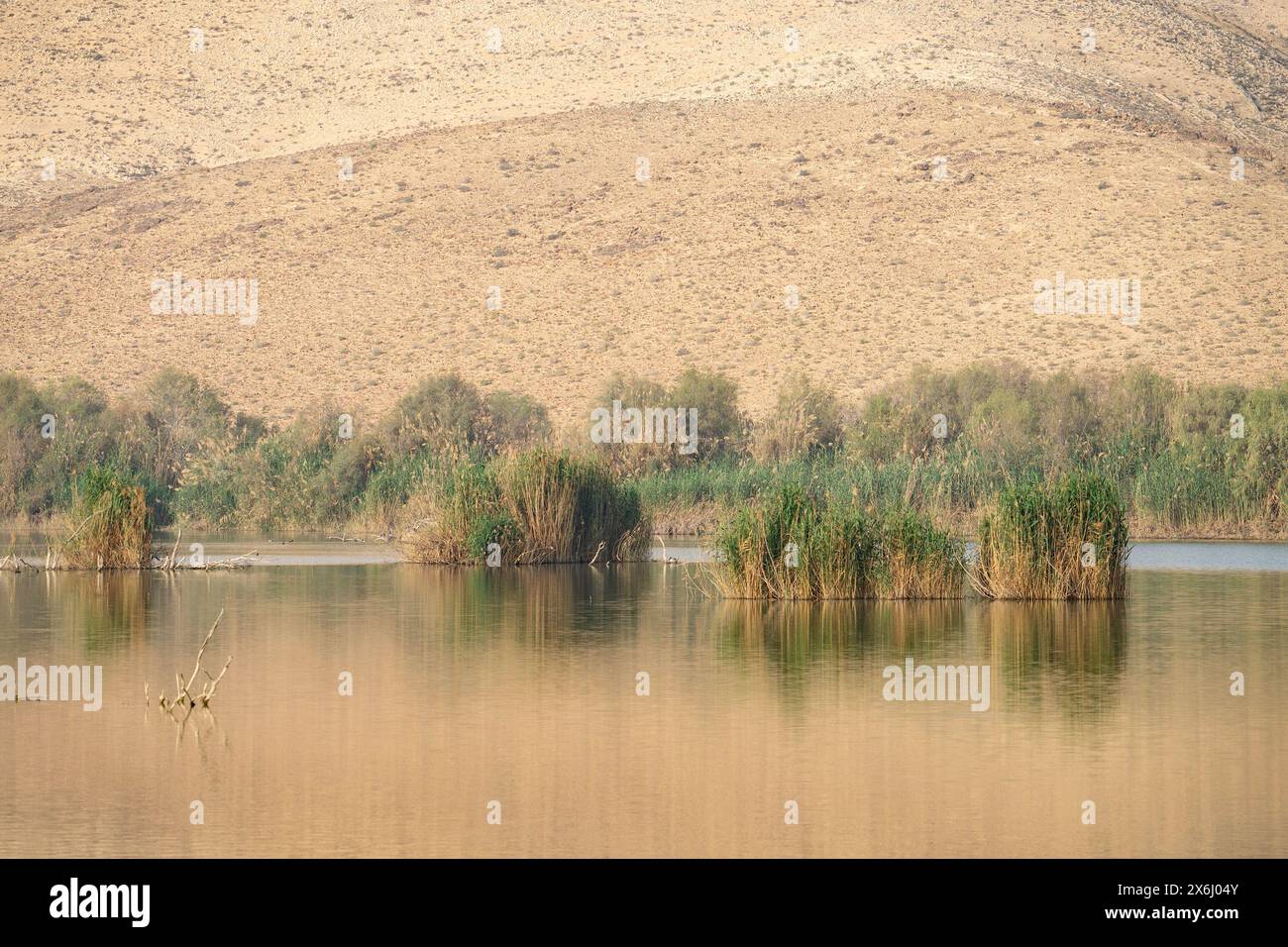 Yeruham lake, in the Negev desert of Israel, peaceful in the early ...