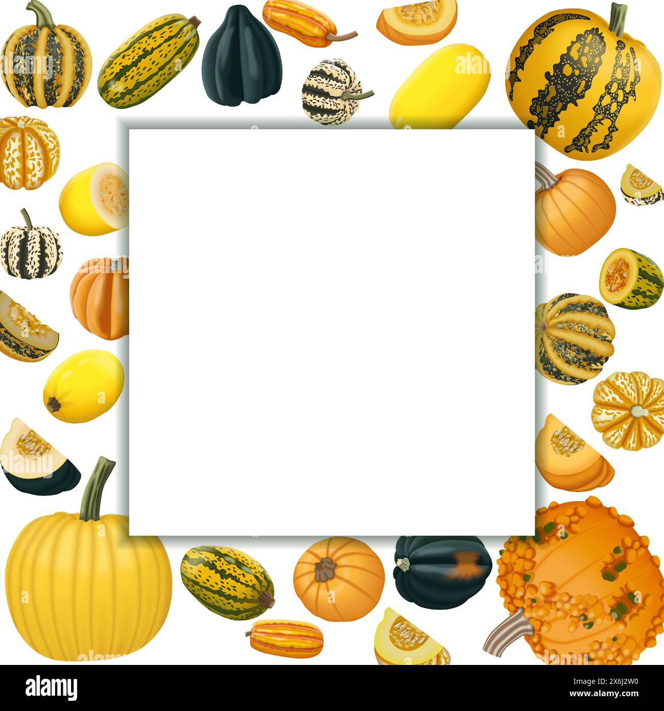 Square banner with types of winter squash. Cucurbita pepo ...