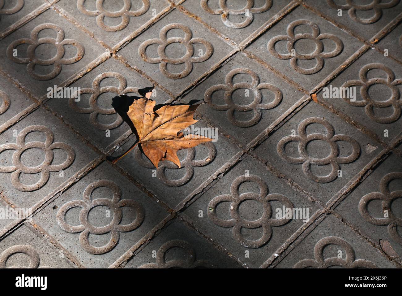 Panot tiles of Barcelona sidewalks. The flower with four petals ...