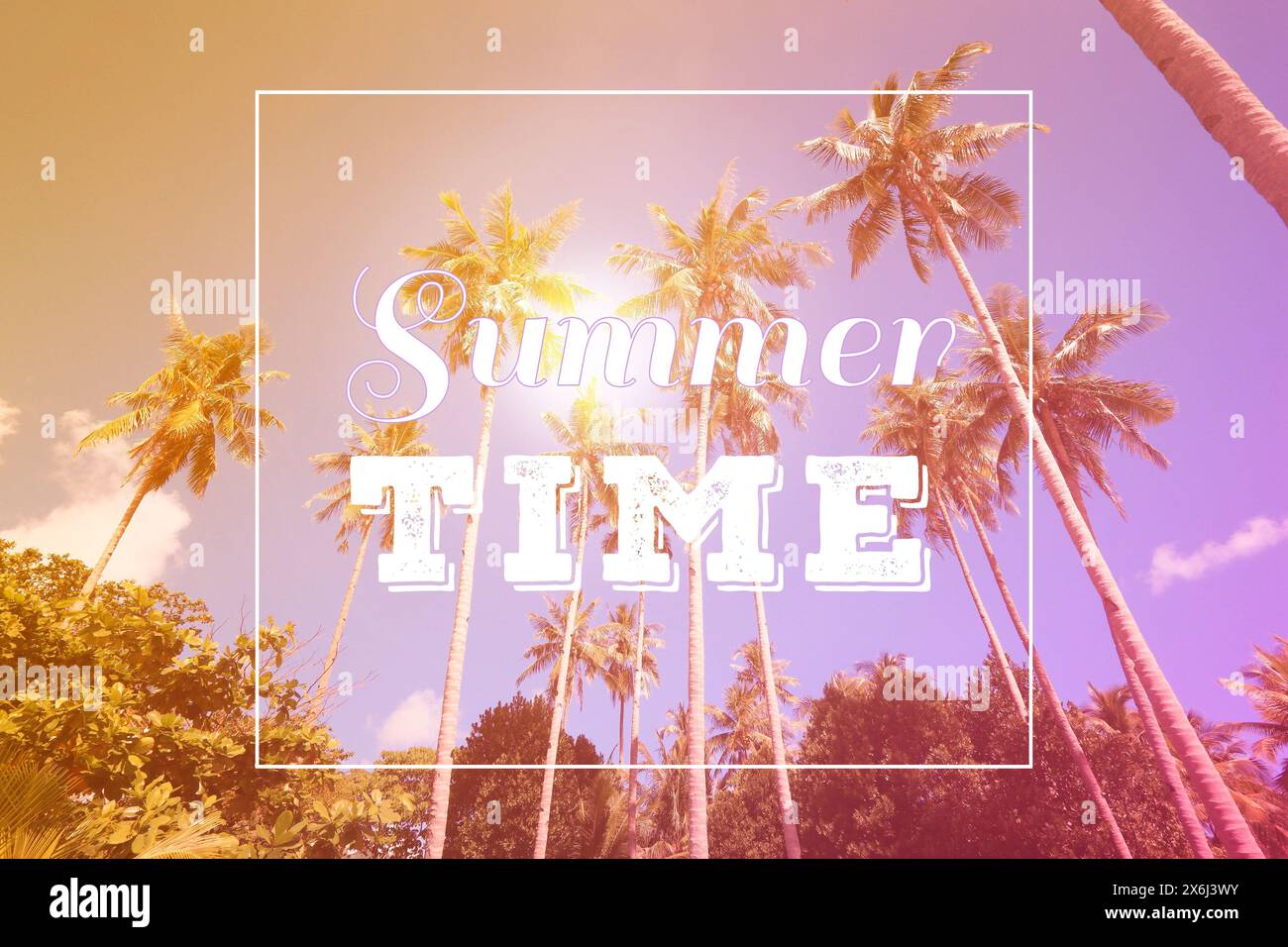 Summer time text web banner. Summer time word poster for social media ...