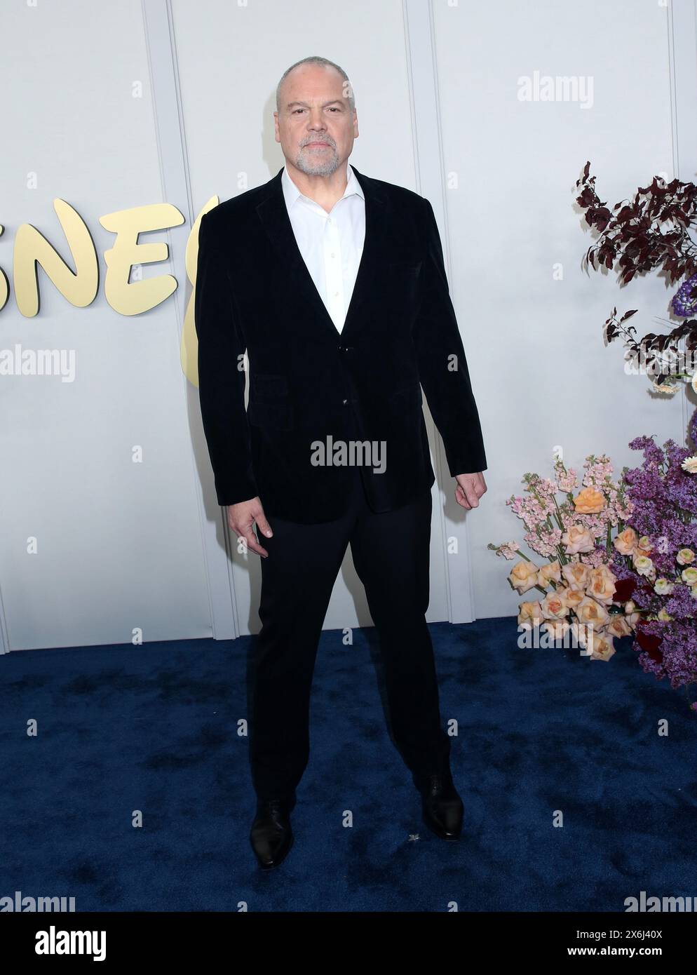 Vincent donofrio 2024 upfront hi-res stock photography and images - Alamy