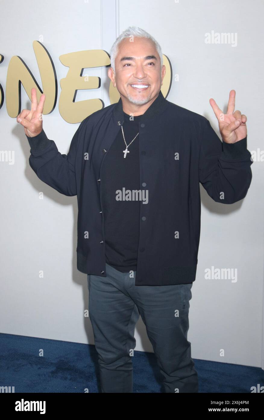 Cesar millan 2024 upfront hi-res stock photography and images - Alamy
