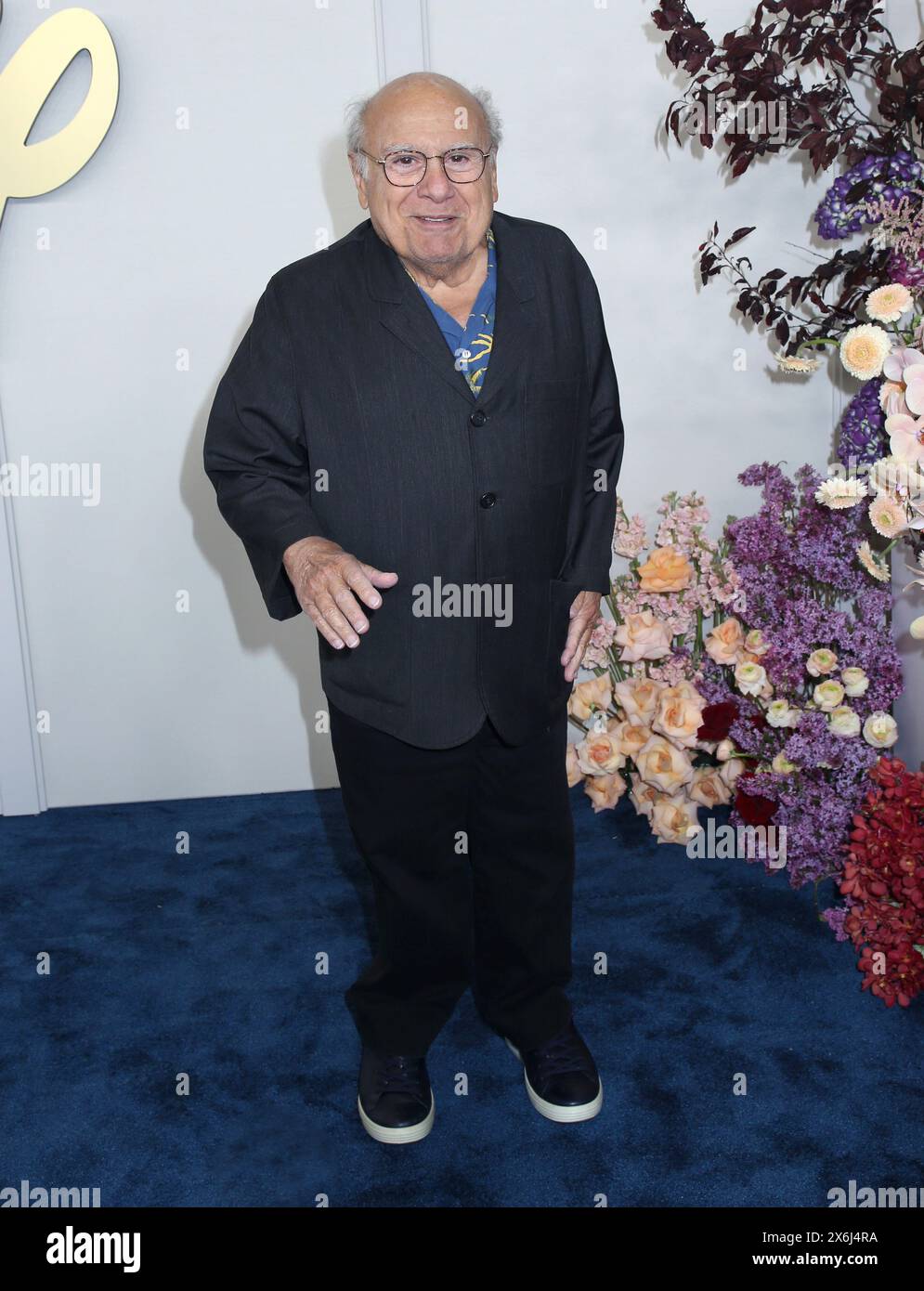 Danny devito 2024 upfront hi-res stock photography and images - Alamy