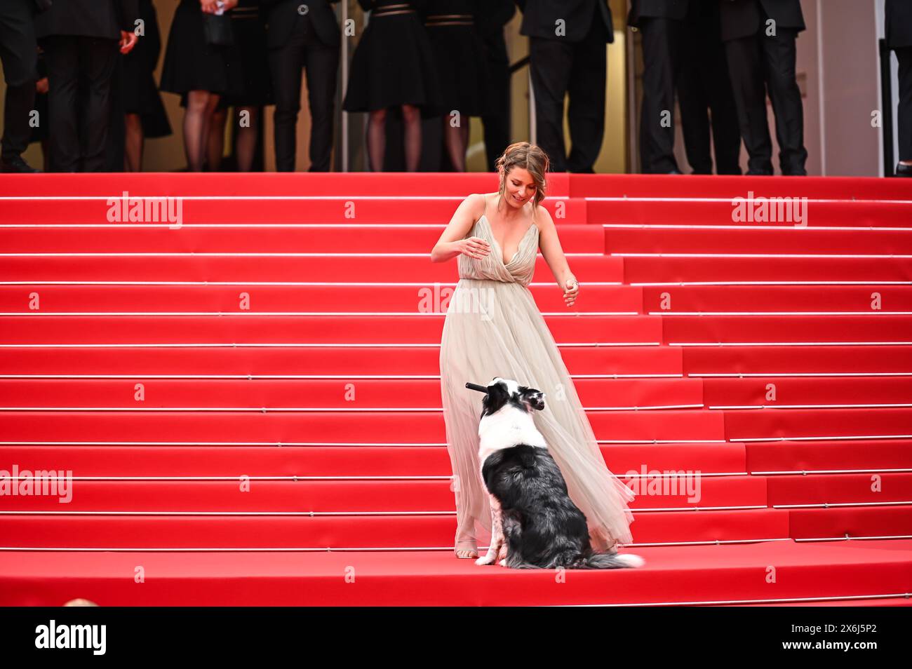 Cannes, France. 14th May, 2024. Laura Martin Contini and Messi the Dog ...