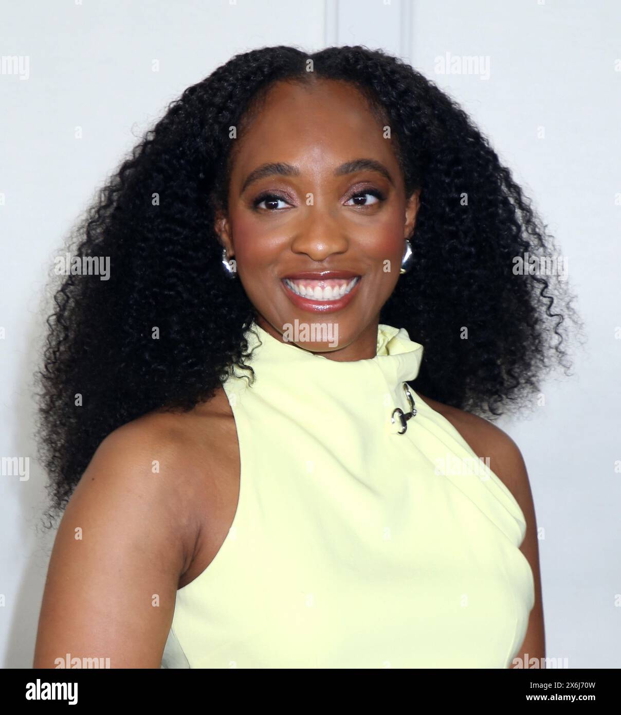 New York City, USA. 14th May, 2024. Iantha Richardson attending the ...